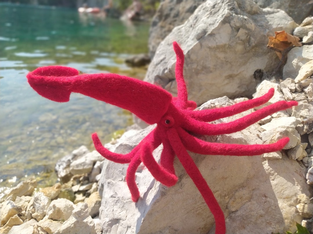 Squid Sculpture, Needle Felted Squid, Wool Ocean Animal - Etsy