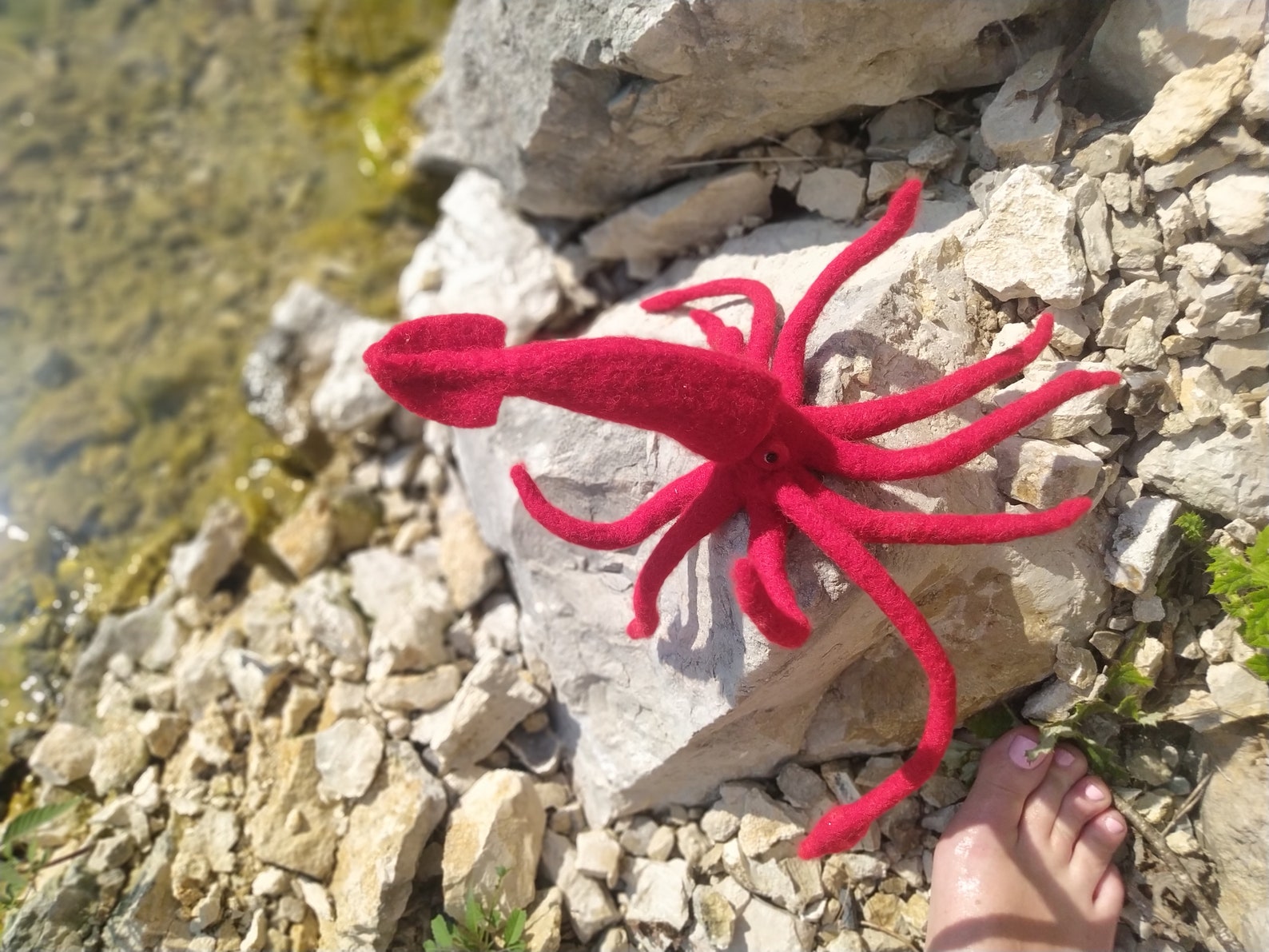 Squid Sculpture, Needle Felted Squid, Wool Ocean Animal - Etsy