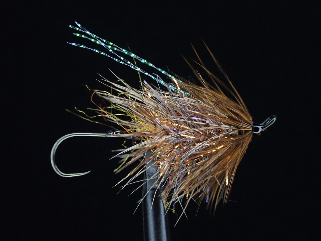 Trout Spey Micro Intruder Copper/orange - Etsy