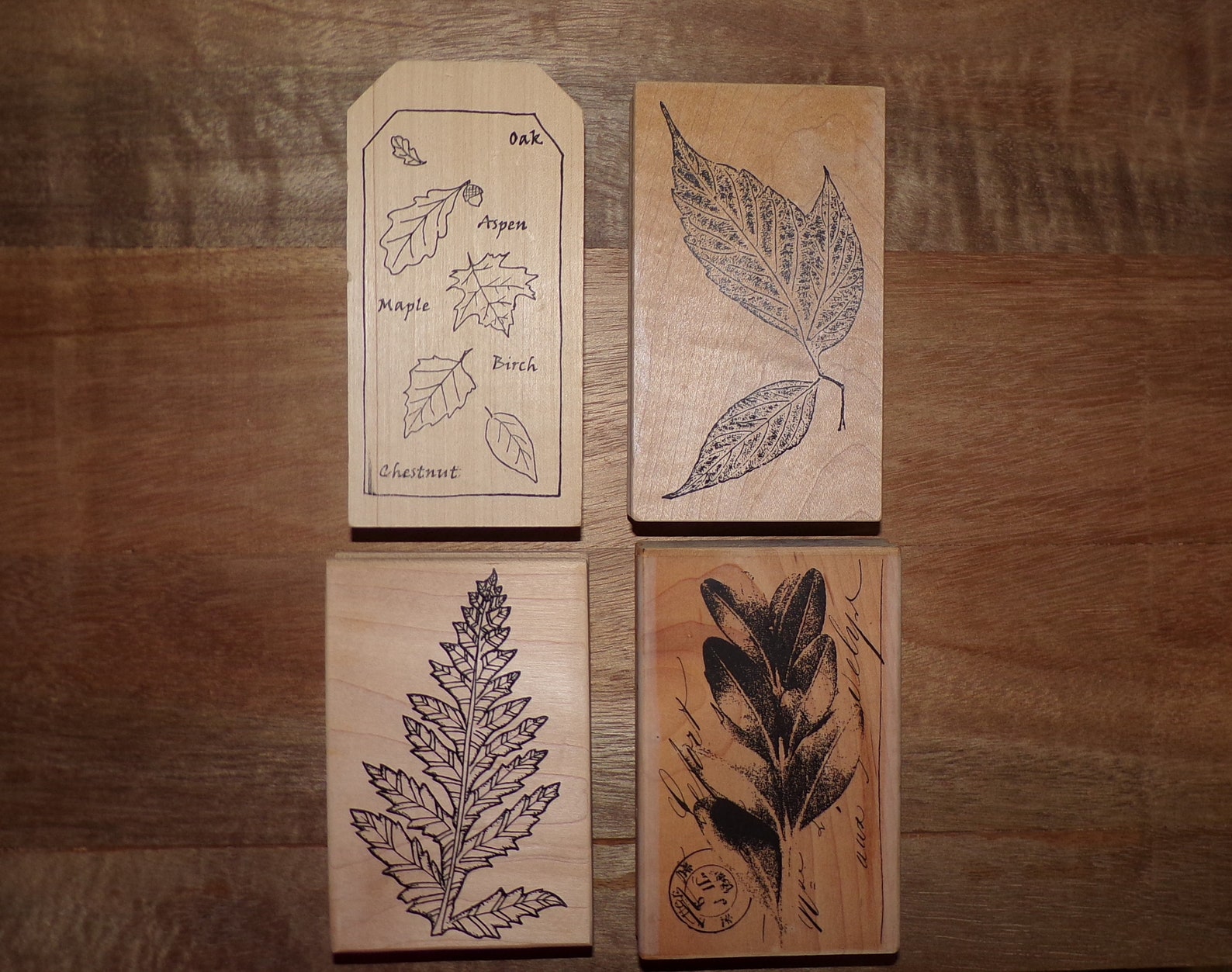 Rubber Stamp - Forest Trees Themed Images - Trees and Leaves Image for ...
