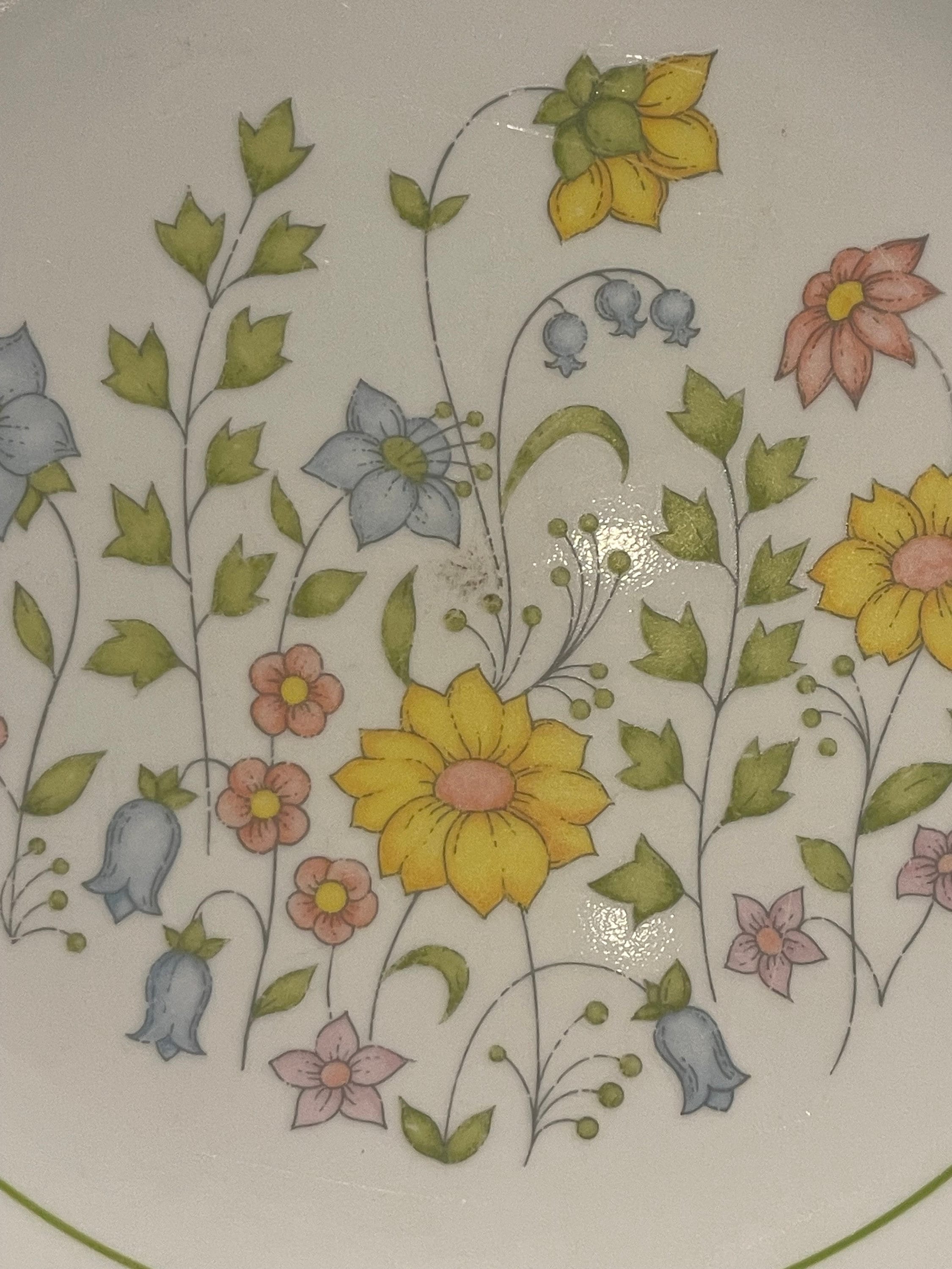 Set of Two Corelle Meadow Pattern Dinner Plates Made by - Etsy