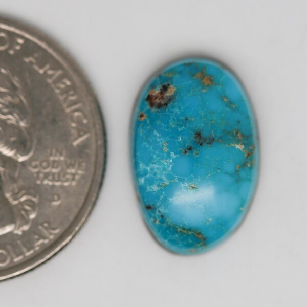 Fox Turquoise - Etsy