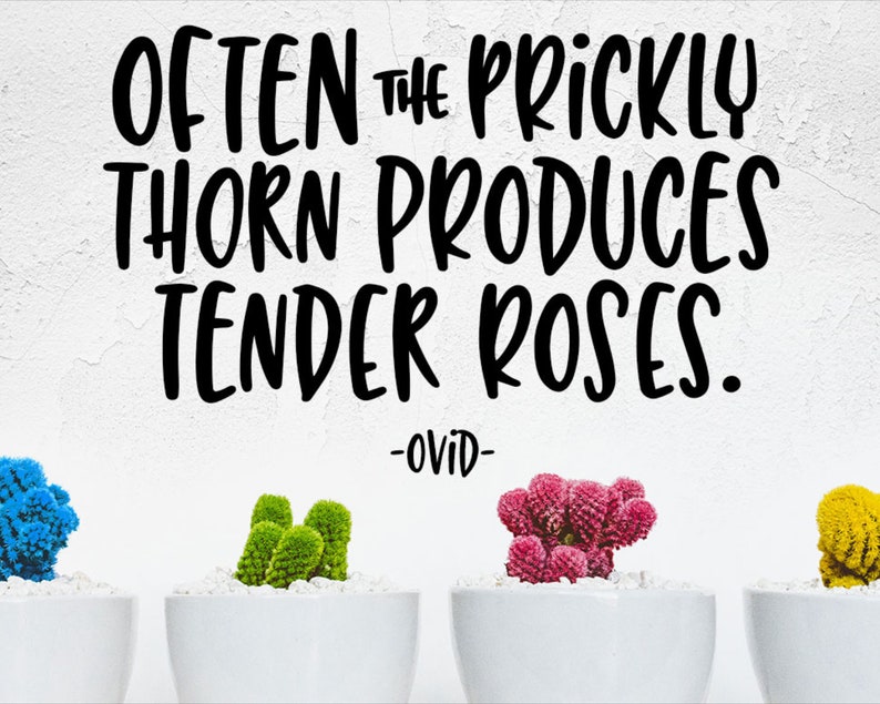 Succulent: a Fun Tall and Narrow Hand-lettered Font - Etsy