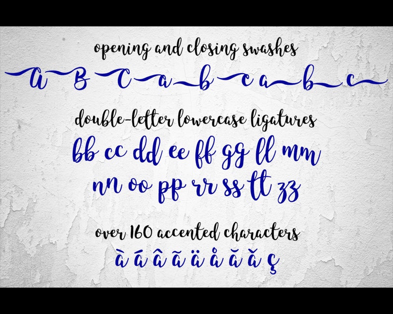 King Basil: a Handmade Brush Script Font With Alternates and Swashes ...