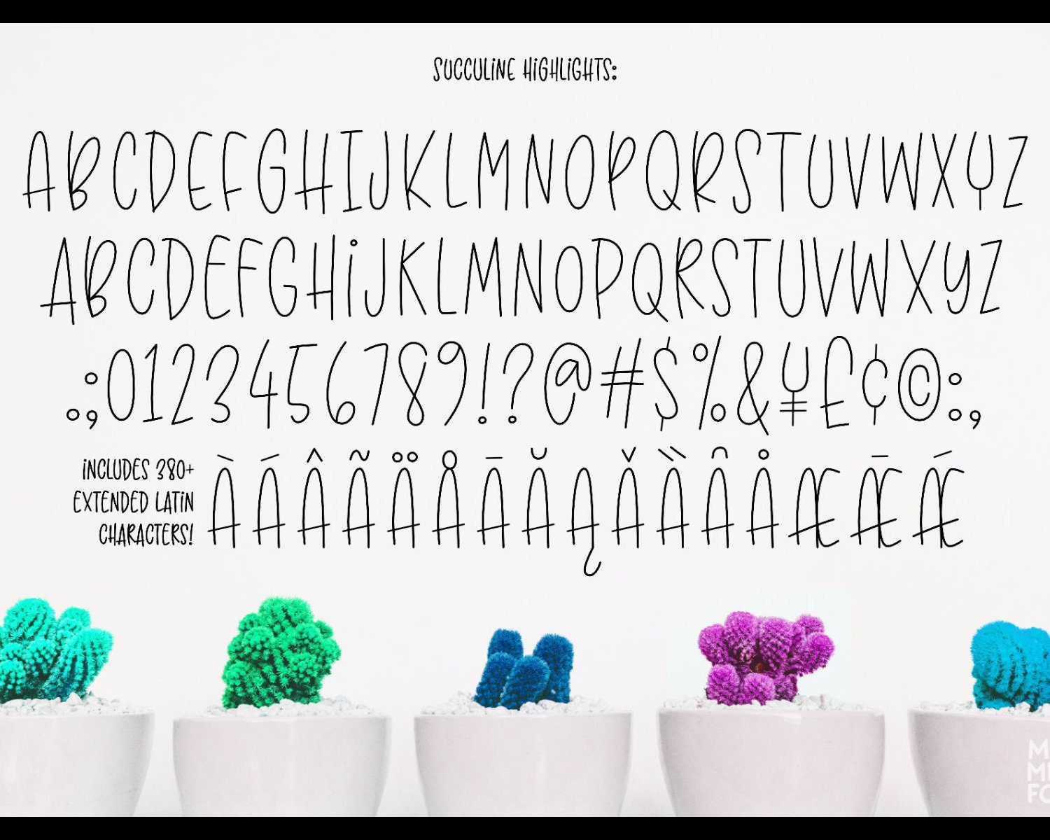 Succuline: a Tall and Narrow Single-line and Hairline Font Made From ...