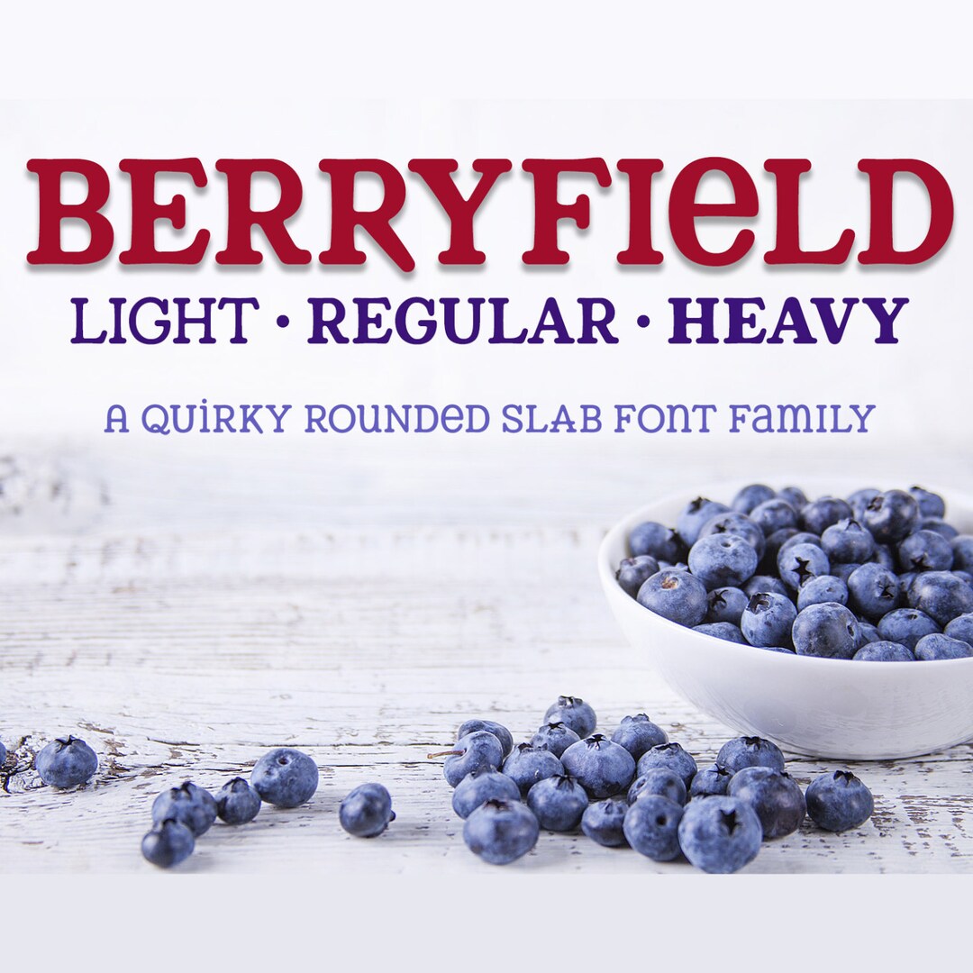 Berryfield: a Quirky Slab Serif Font Family in Three Weights! (TTF ...
