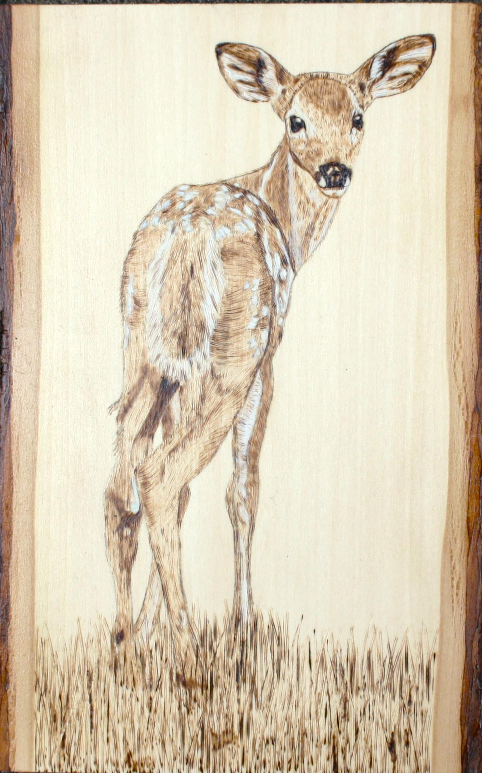 Fawn Wood Burning - Etsy