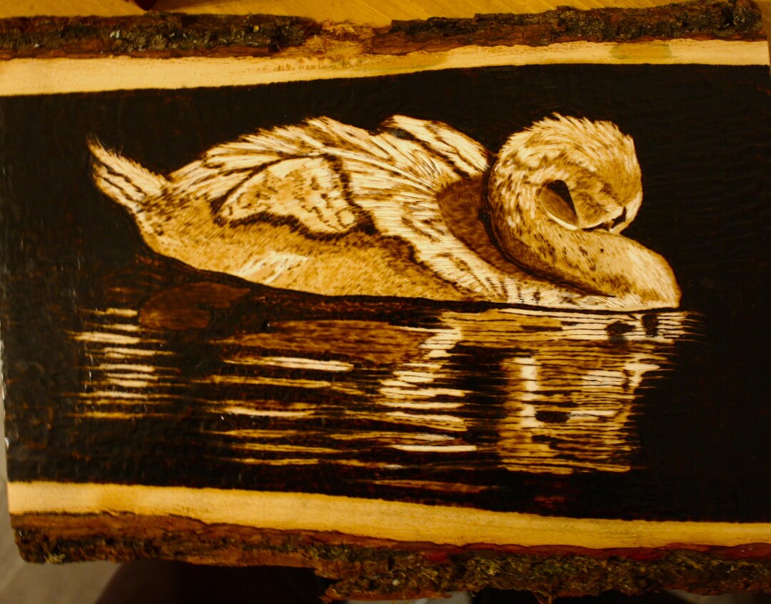 Swan Reflection 3 Wood Burning - Etsy