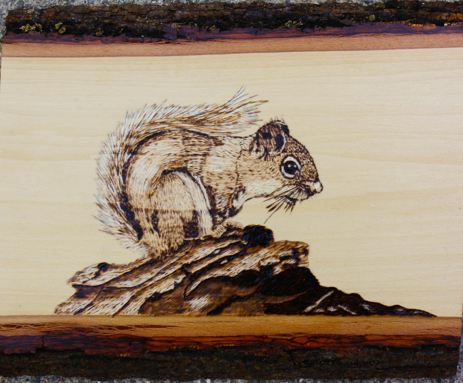 Squirrel on Log Wood Burning - Etsy