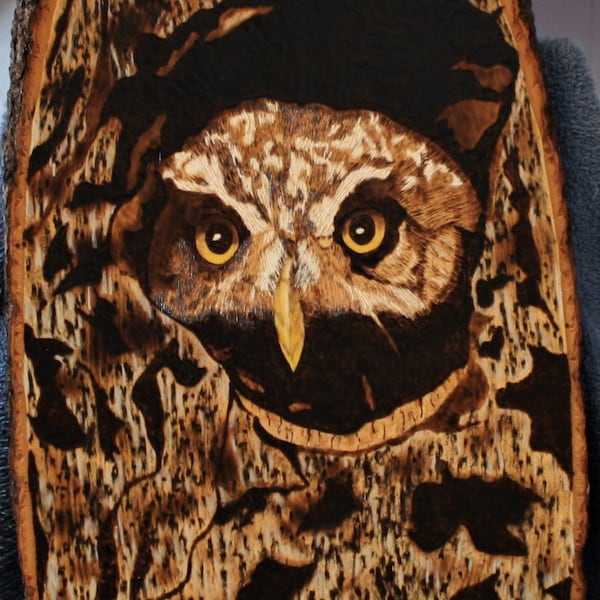 Owl Wood Burning - Etsy
