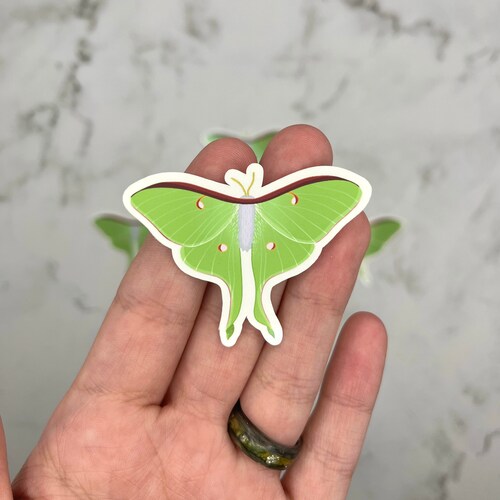 Luna Moth Fidget Keychain - Etsy