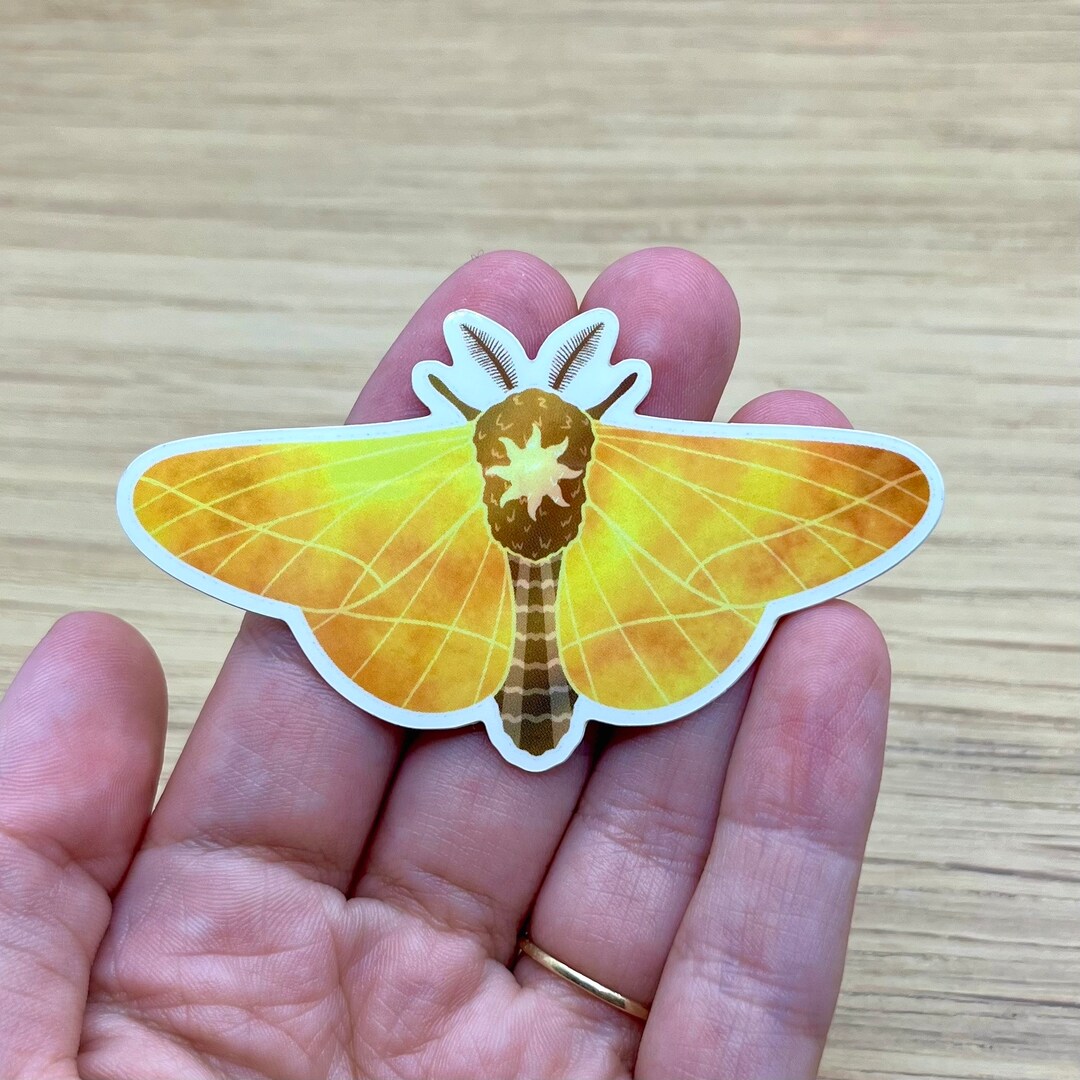 Sun Moth Sticker - Etsy