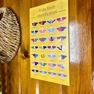 Pride Moth Identification Art Print - Etsy