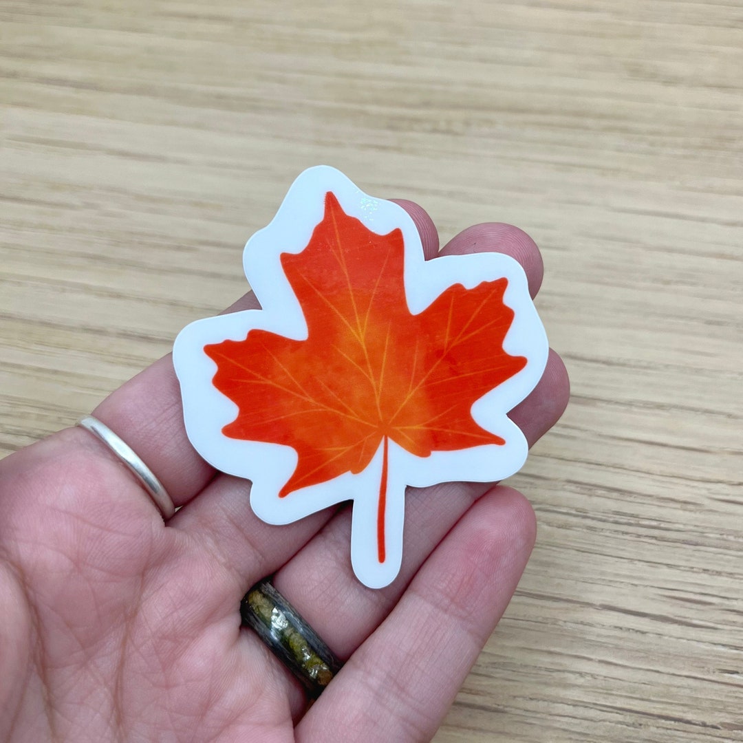 Autumn Maple Leaf Sticker - Etsy