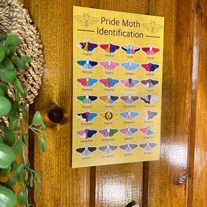 Pride Moth Identification Art Print - Etsy