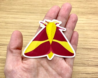 Pink Lemonade Moth Sticker / Rosy Maple Moth Sticker / Cute - Etsy