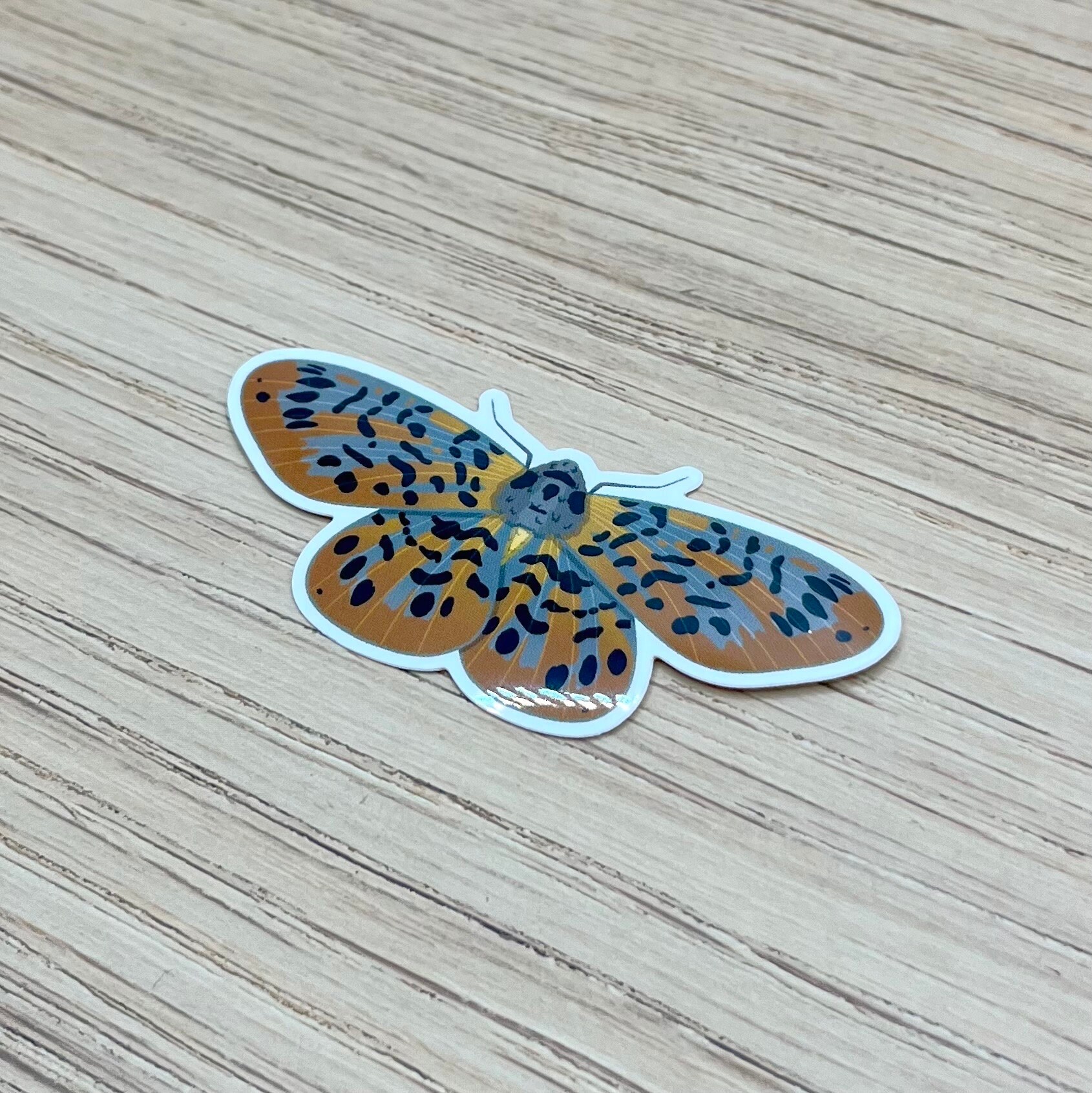 Bracca Matutinata Moth Sticker - Etsy
