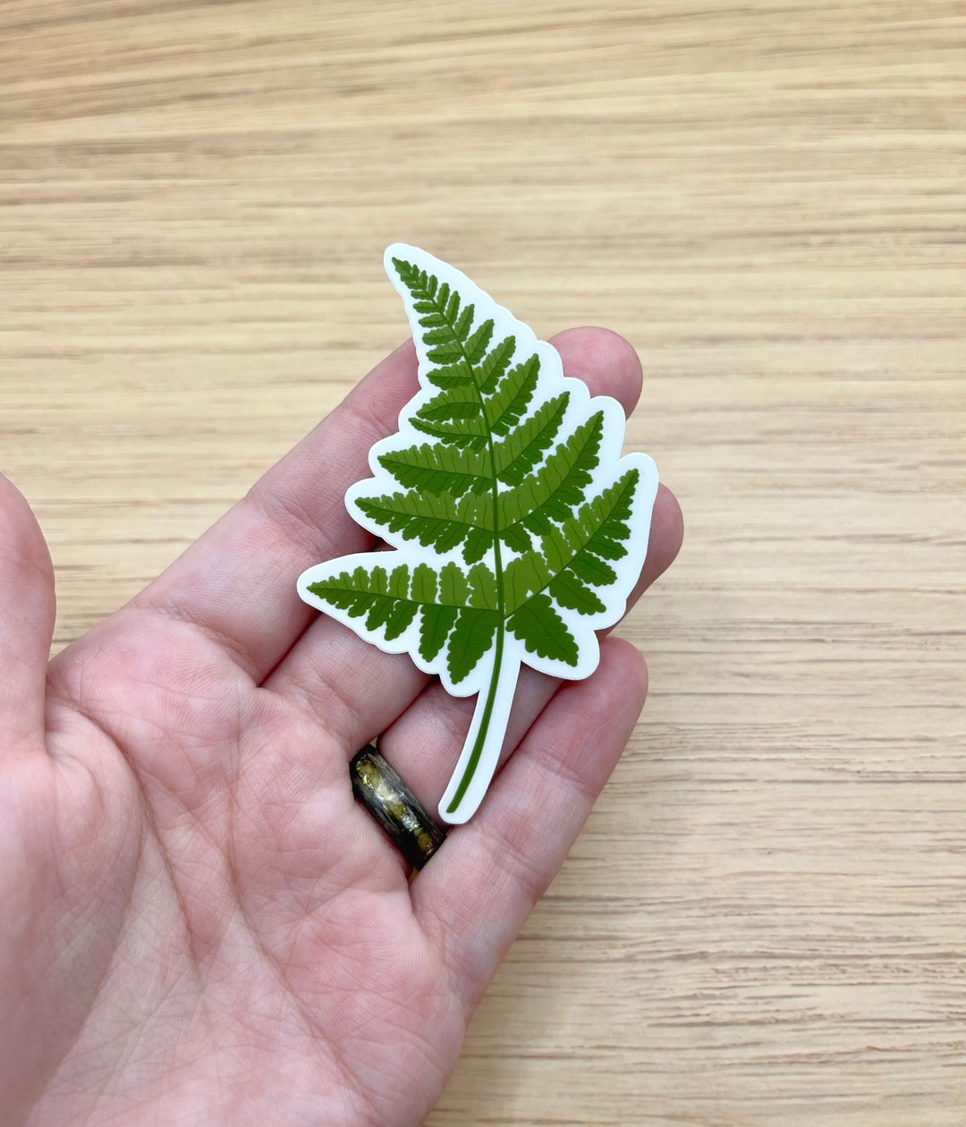 Fern Stickers - Etsy