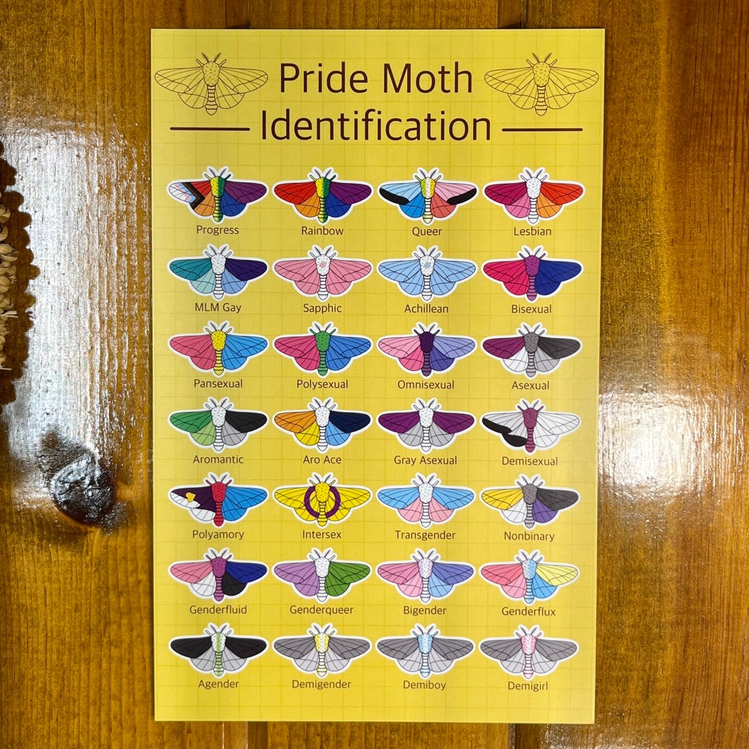 Pride Moth Identification Art Print - Etsy