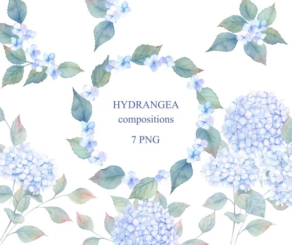 Watercolor Blue Hydrangea Flowers Compositions. Floral - Etsy