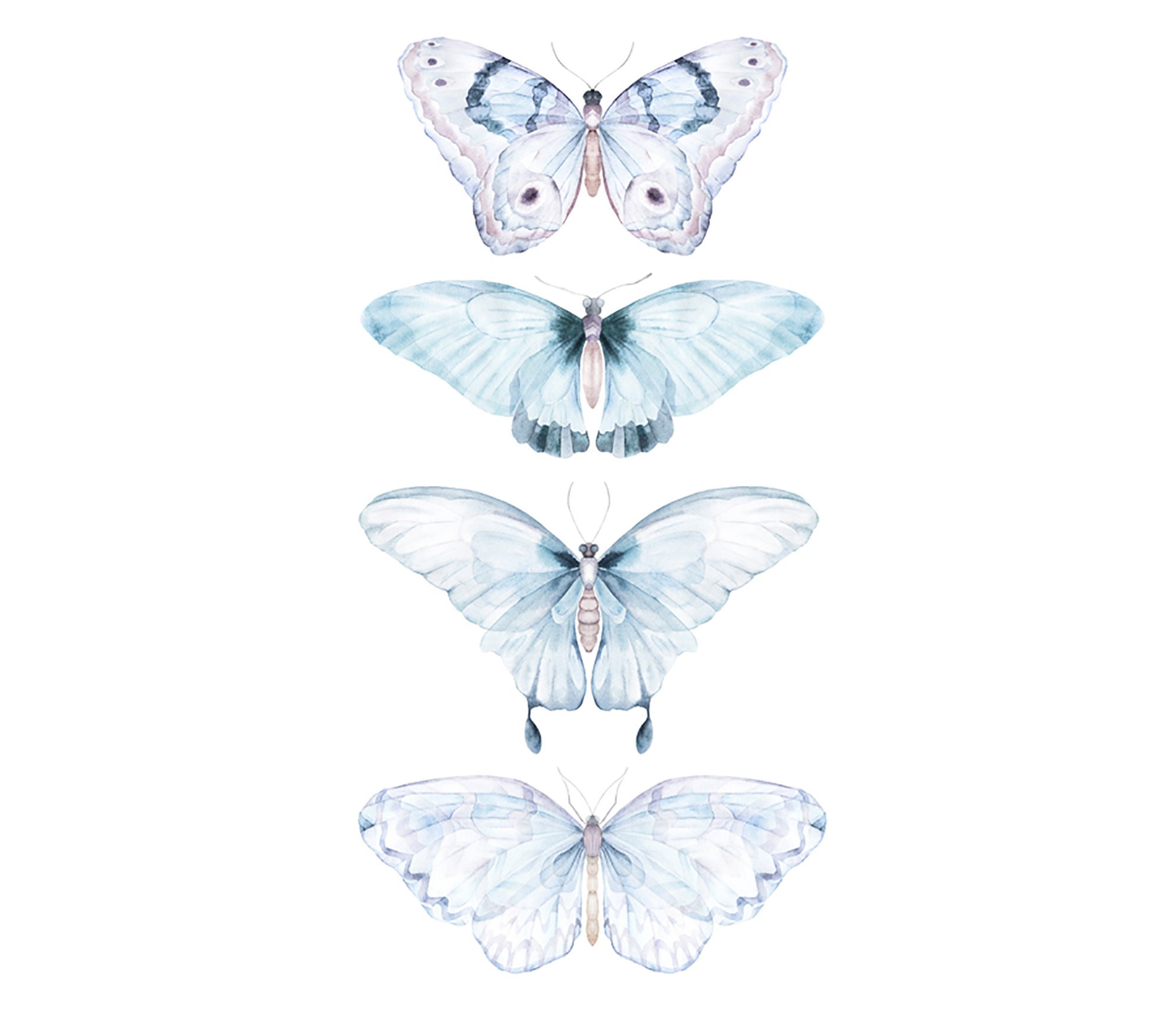 Butterfly Watercolor Clipart. Hand Painting Png Elements. - Etsy