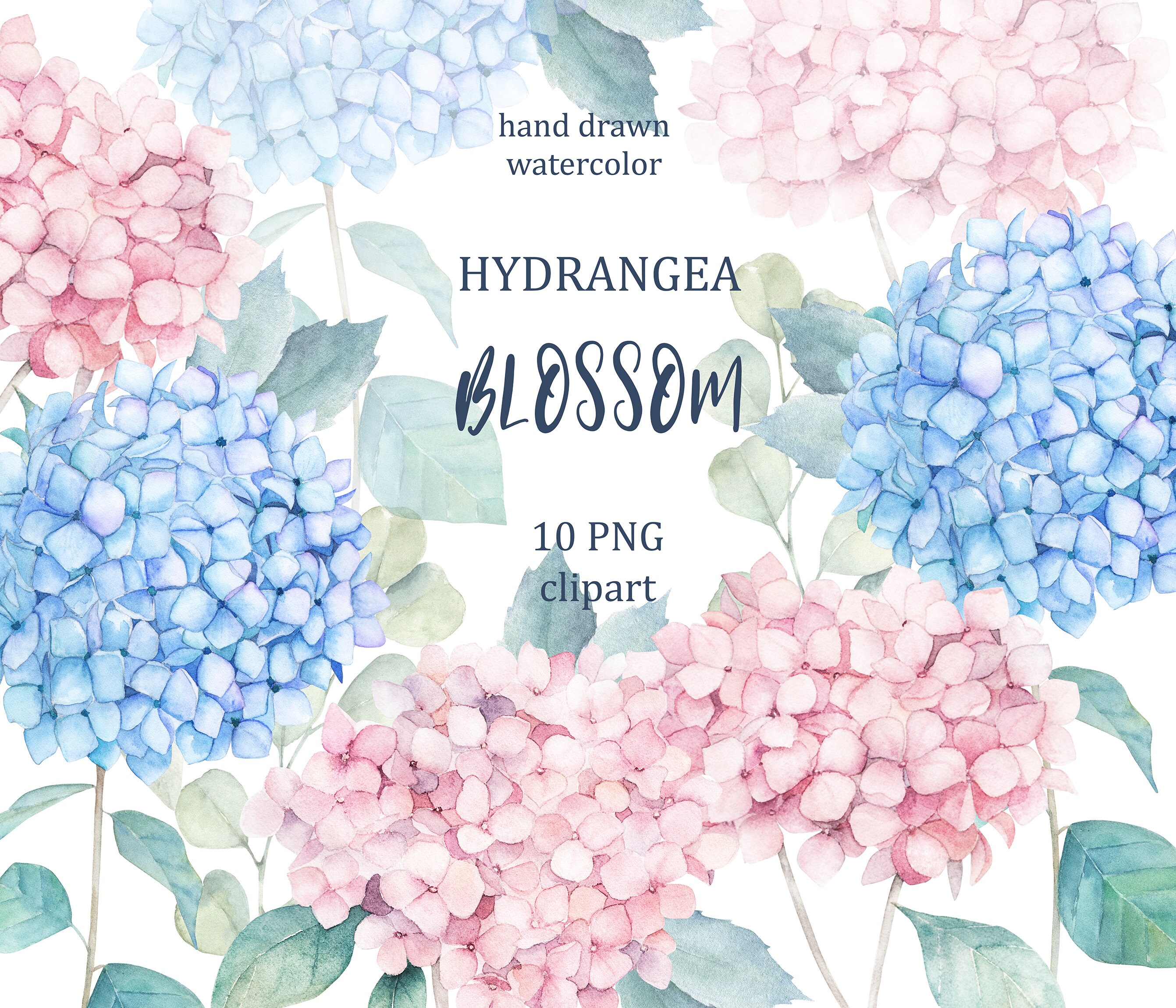 Watercolor Hydrangea Flowers Clipart. Floral Collection | Etsy