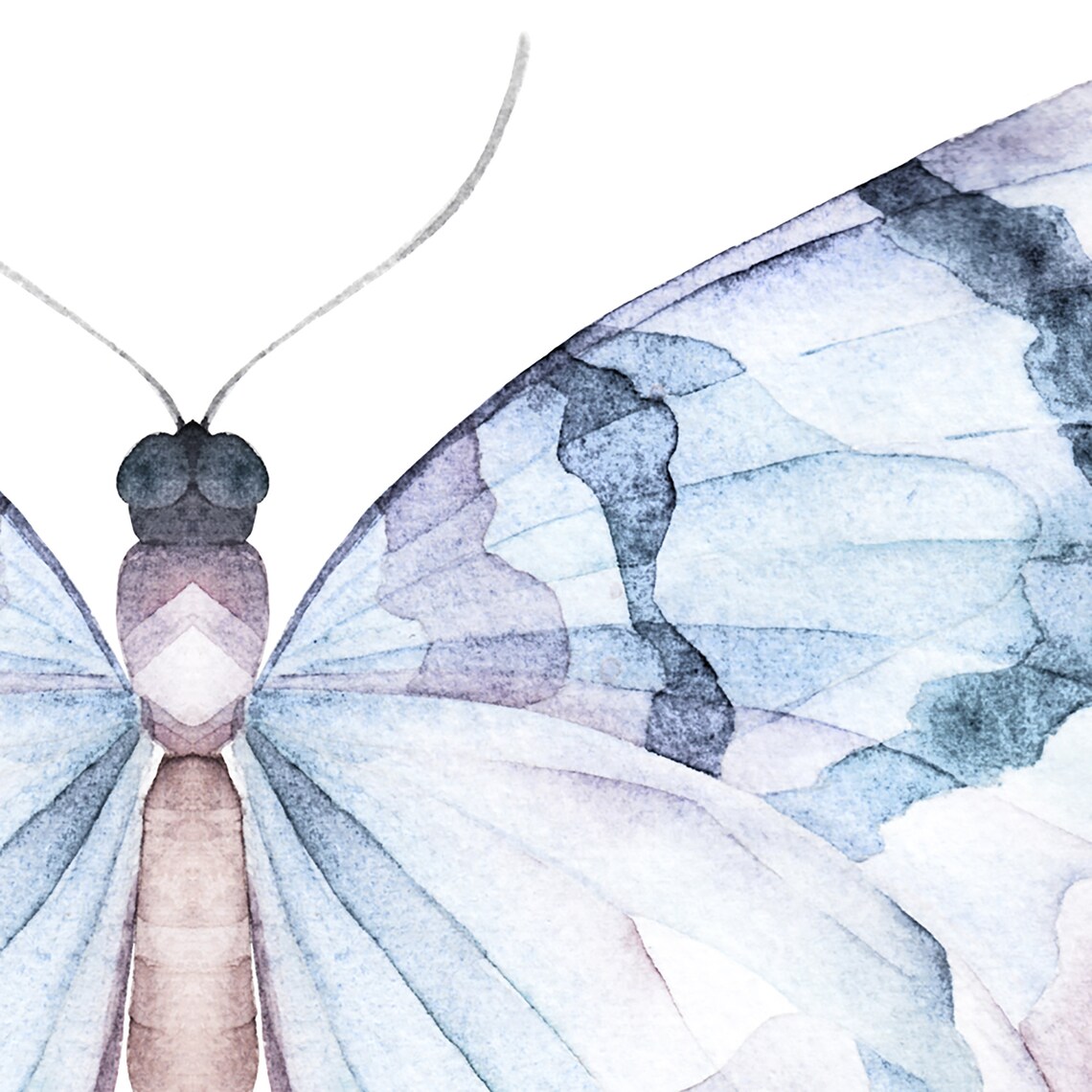 Butterfly Watercolor Clipart. Hand Painting Png Elements. - Etsy