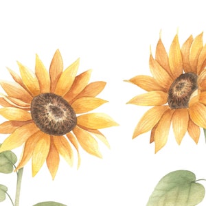 Watercolor Sunflower Collection Cliparts, Baby Shower, Wedding ...
