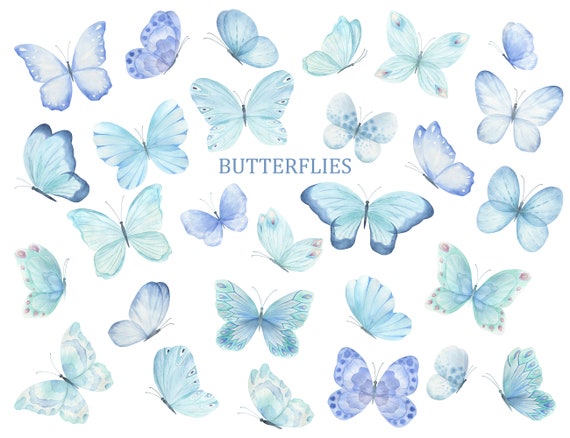 Butterfly Watercolor Clipart. Big Collection. Hand Painting - Etsy