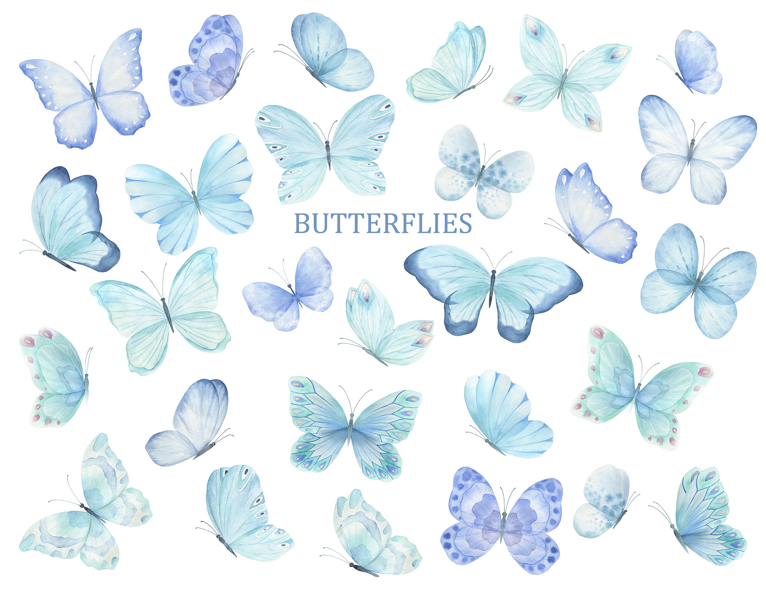 Butterfly Watercolor Clipart. Big Collection. Hand Painting - Etsy