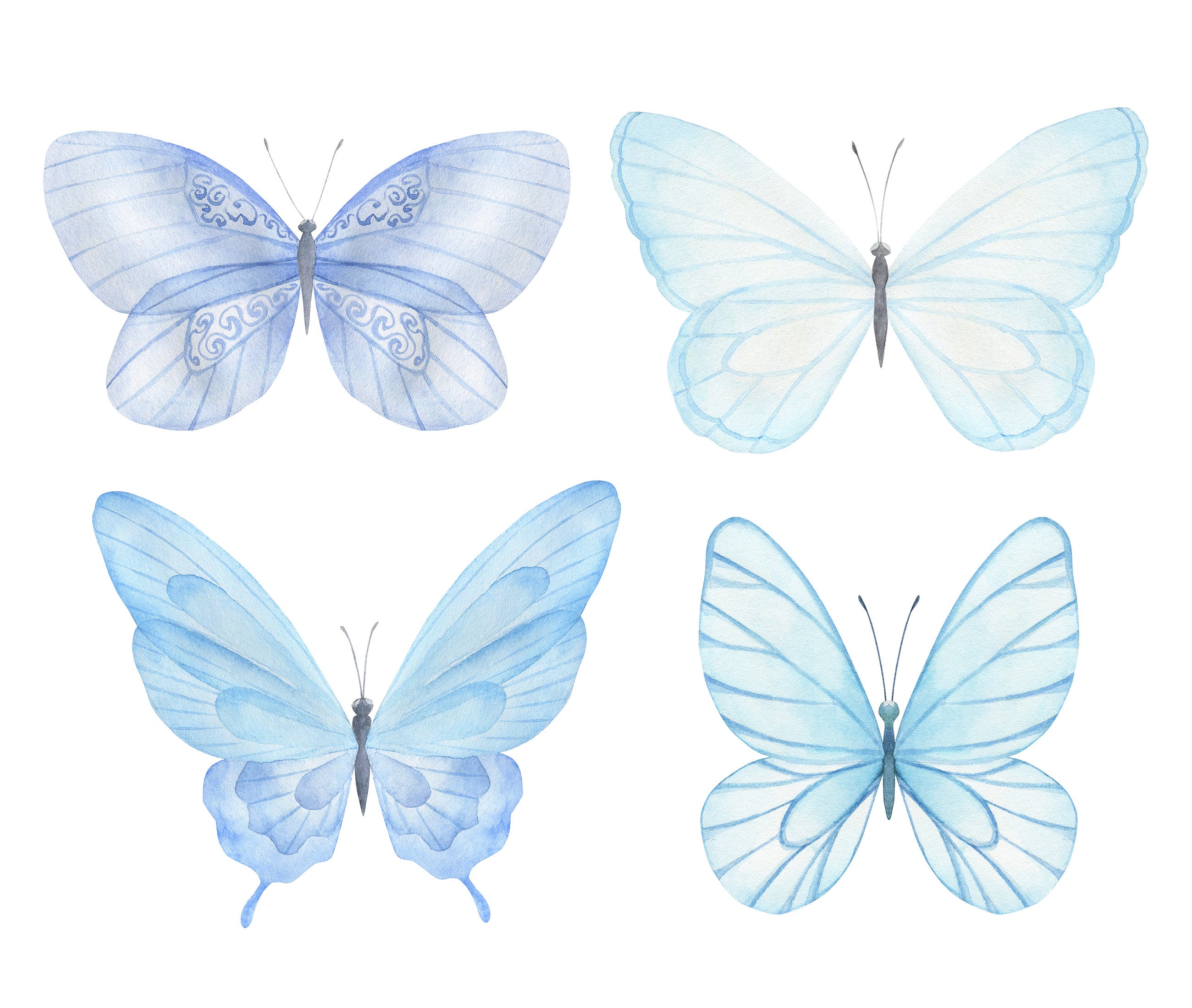 Butterfly Watercolor Clipart Collection. Hand Drawn Png Elements ...