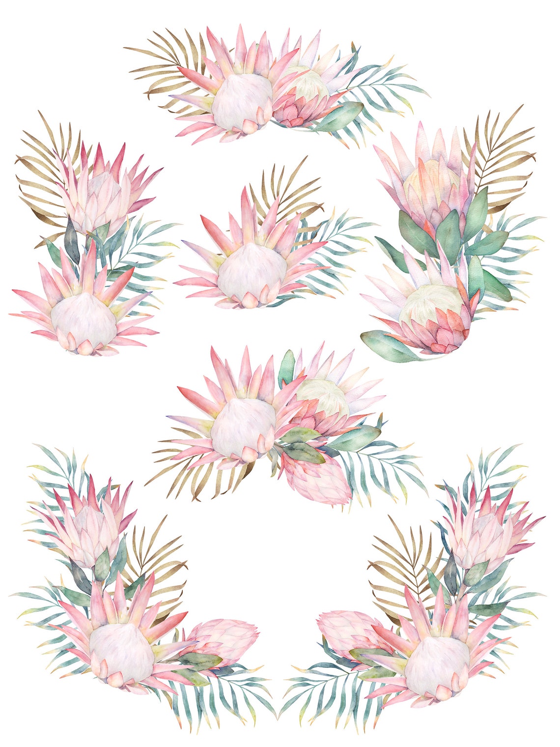 Protea Compositions Collection. Watercolour Frame, Border, Wedding Art ...