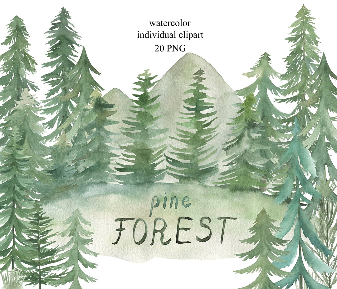 Watercolor Pine Trees Clipart Collection. Woodland Pine Trees ...