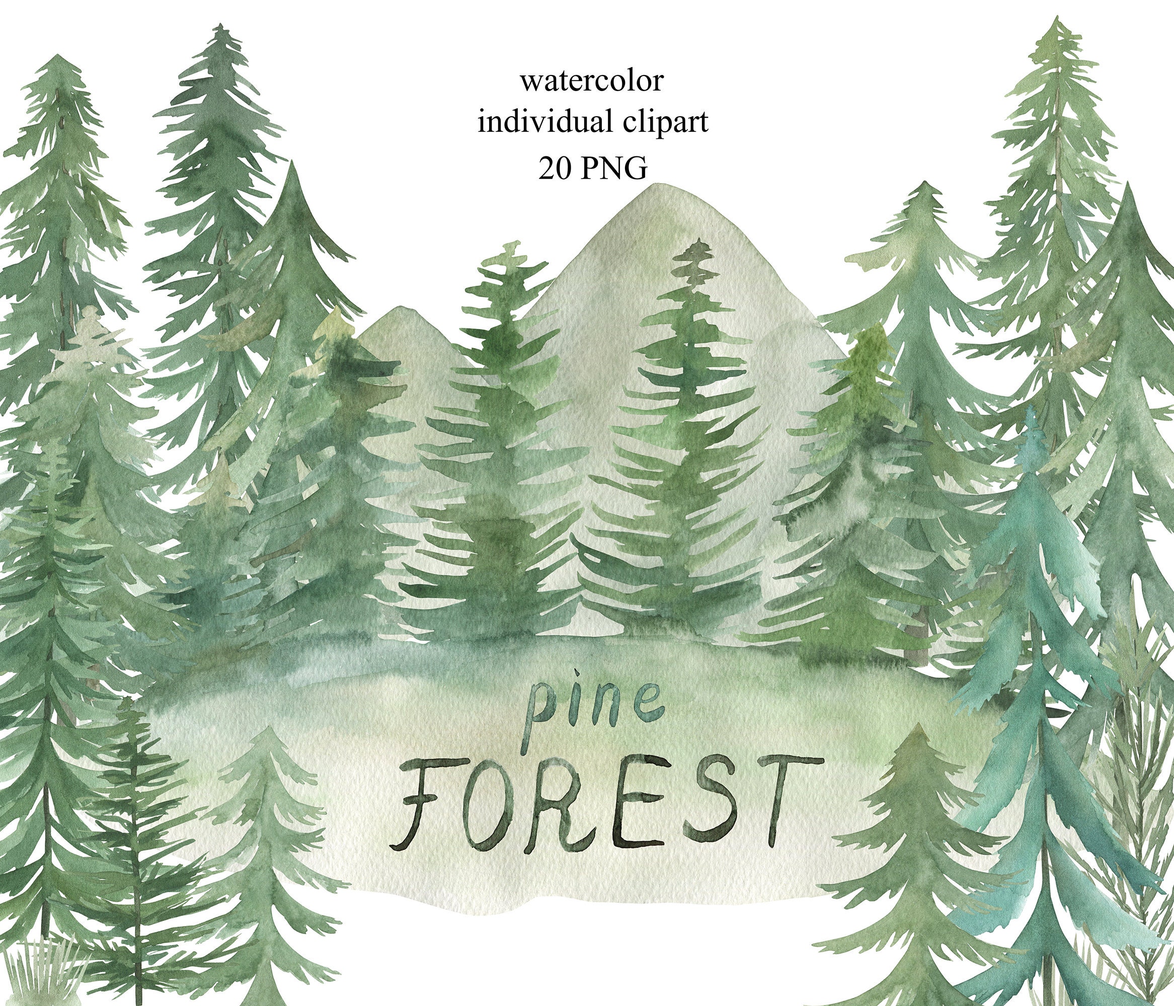 Watercolor Pine Trees Clipart Collection. Woodland Pine Trees ...