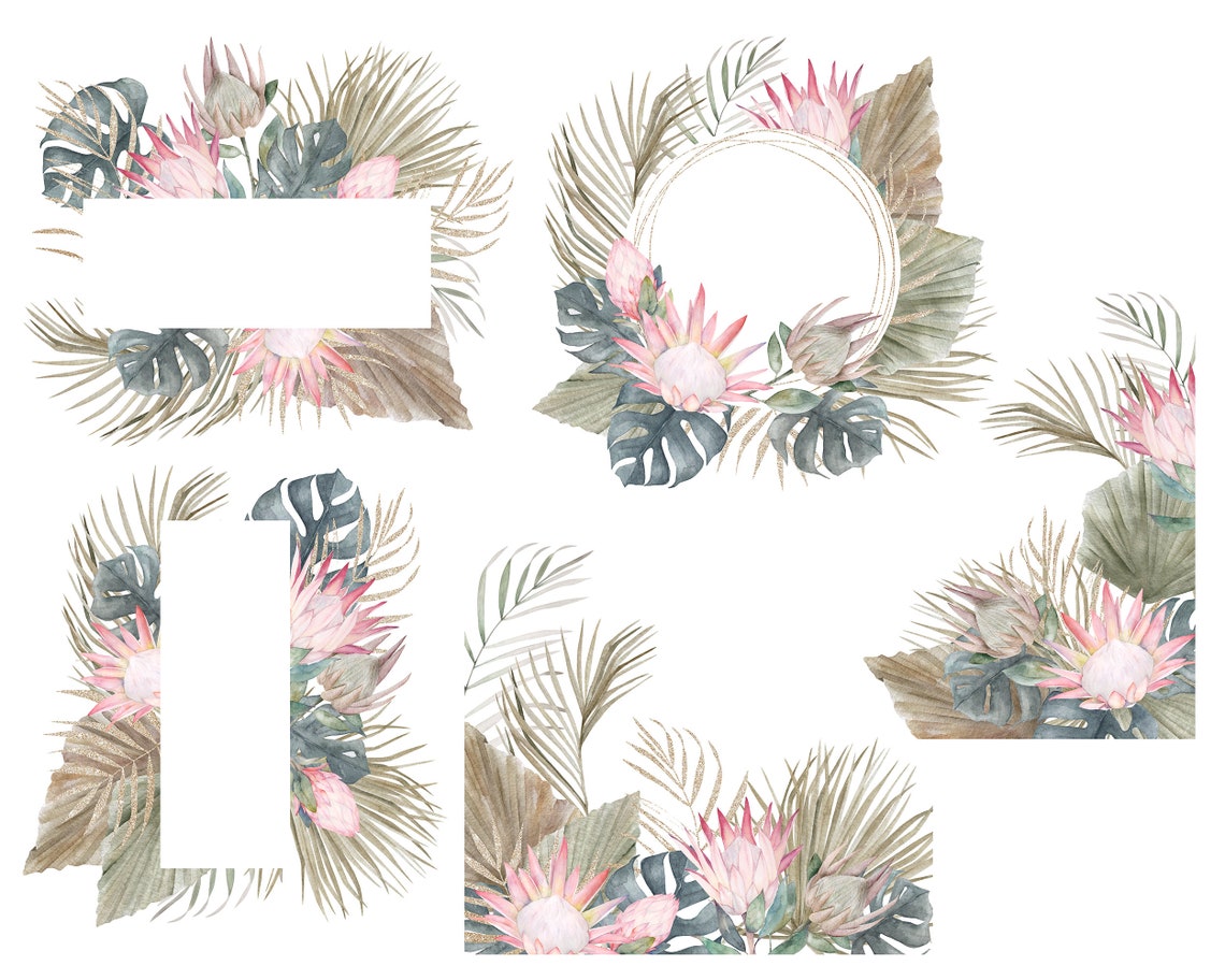 Tropical Protea Compositions Collection. Watercolour Frame, Border ...