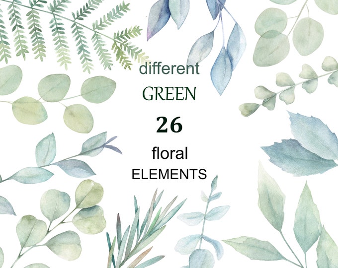 Eucalyptus. Watercolor Floral Clipart. Individual Elements. Green ...