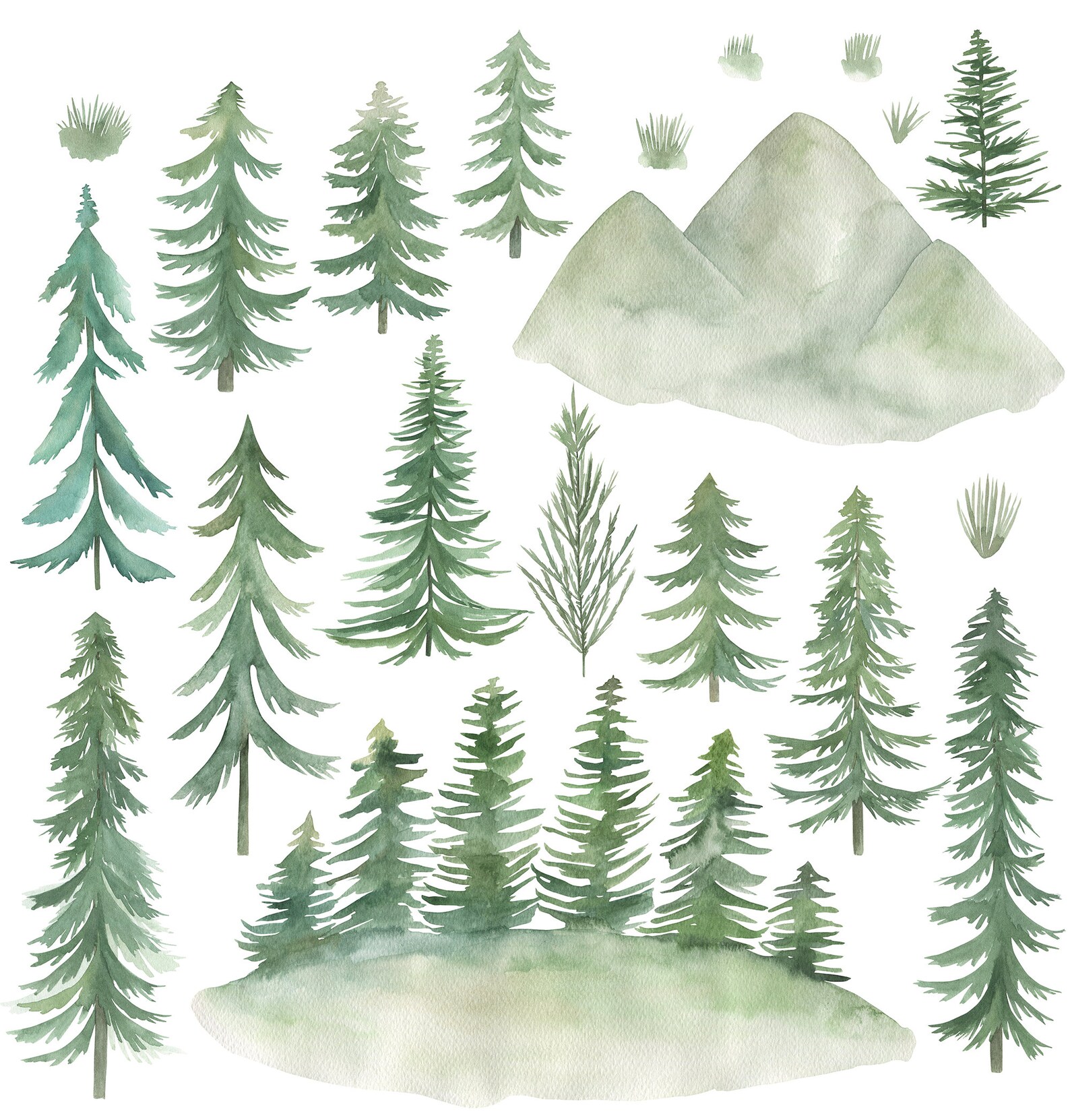 Watercolor Pine Trees Clipart Collection. Woodland Pine Trees ...