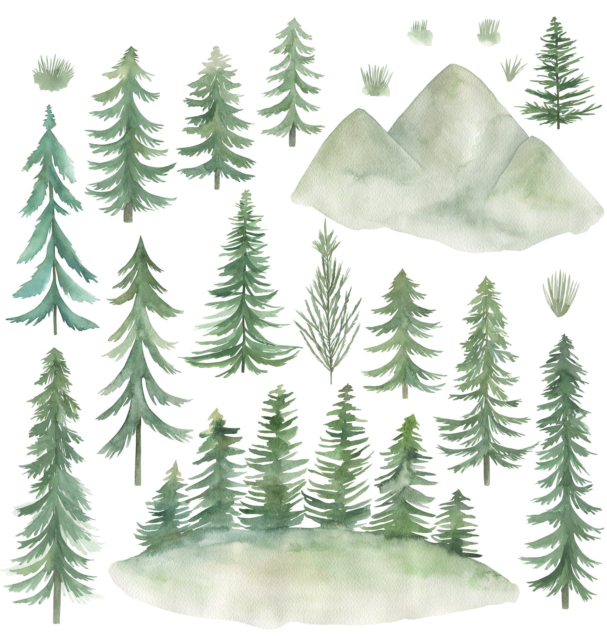 Watercolor Pine Trees Clipart Collection. Woodland Pine Trees ...