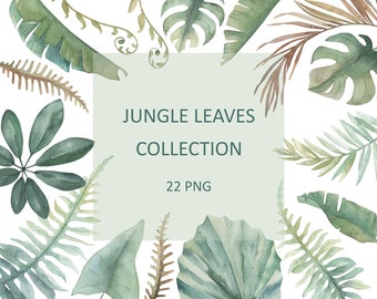 Watercolor Tropical Leaves Clipart, Hand Painted Monstera Leaves Jungle ...
