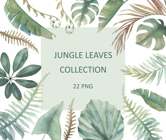 Watercolor Tropical Leaves Jungle Palm Clipart PNG - Etsy