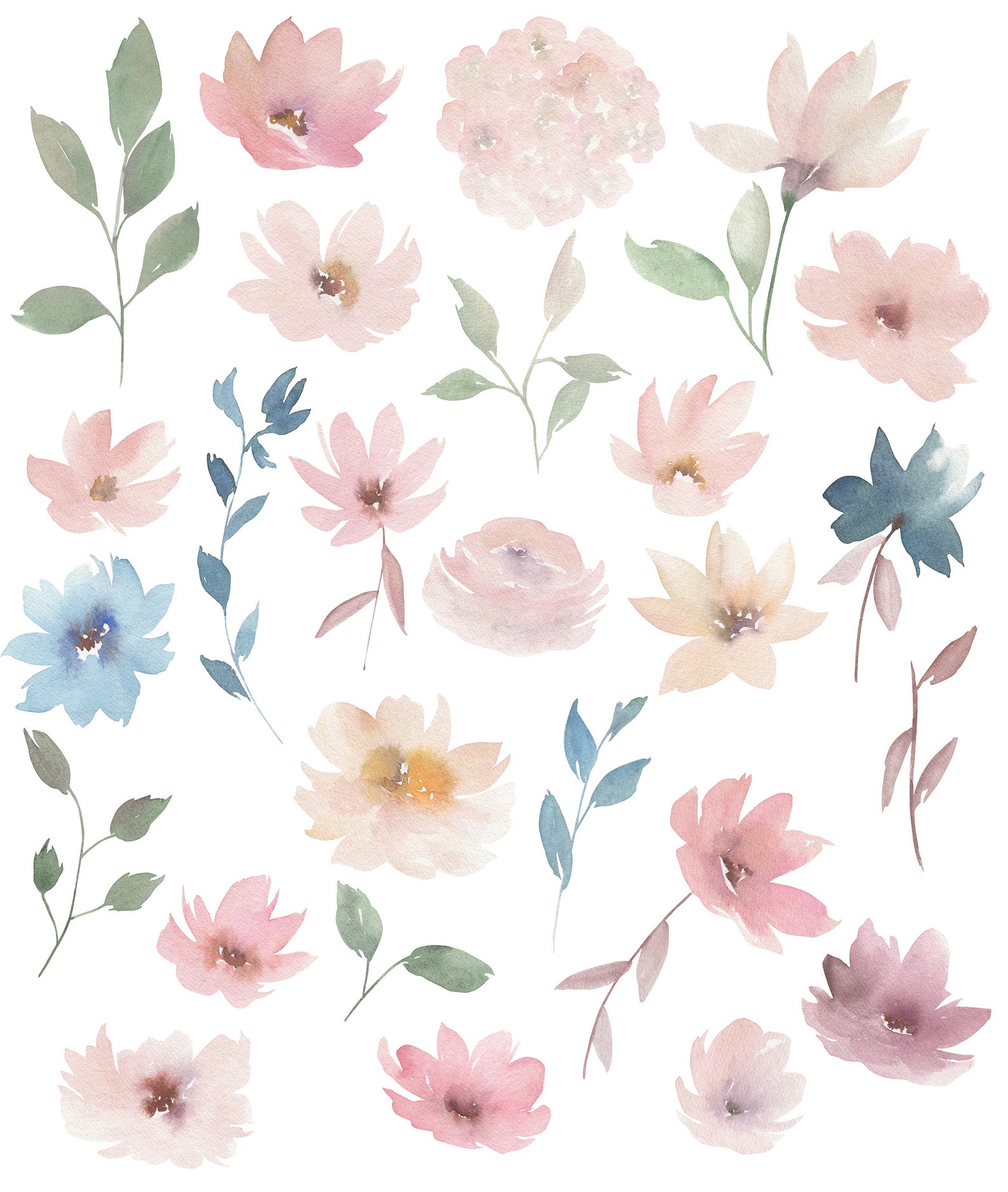 Delicate Watercolor Flowers Clipart. Floral Collection 1 - Etsy