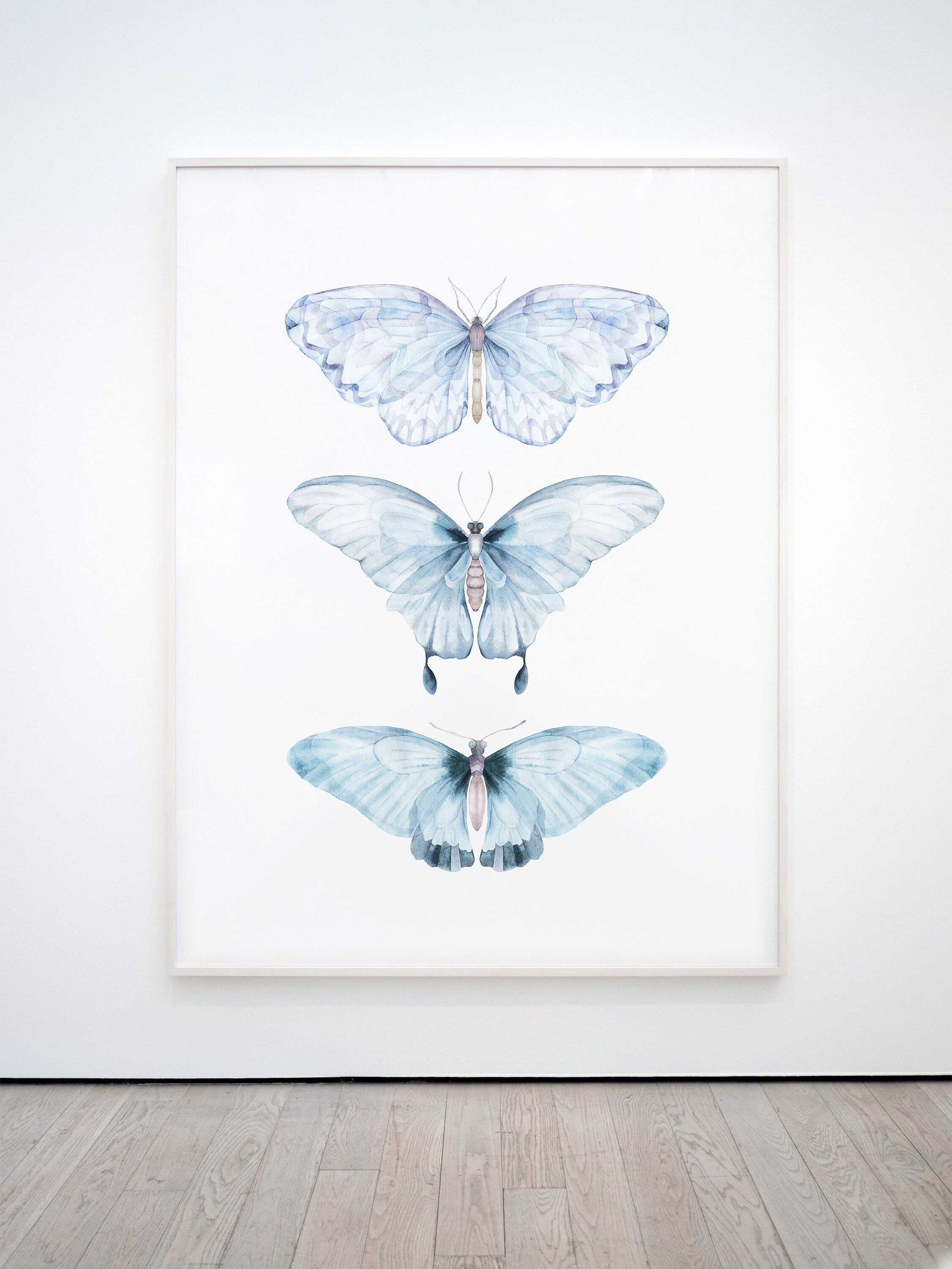 Butterfly Wall Art Butterfly Poster Watercolor Butterfly Print | Etsy