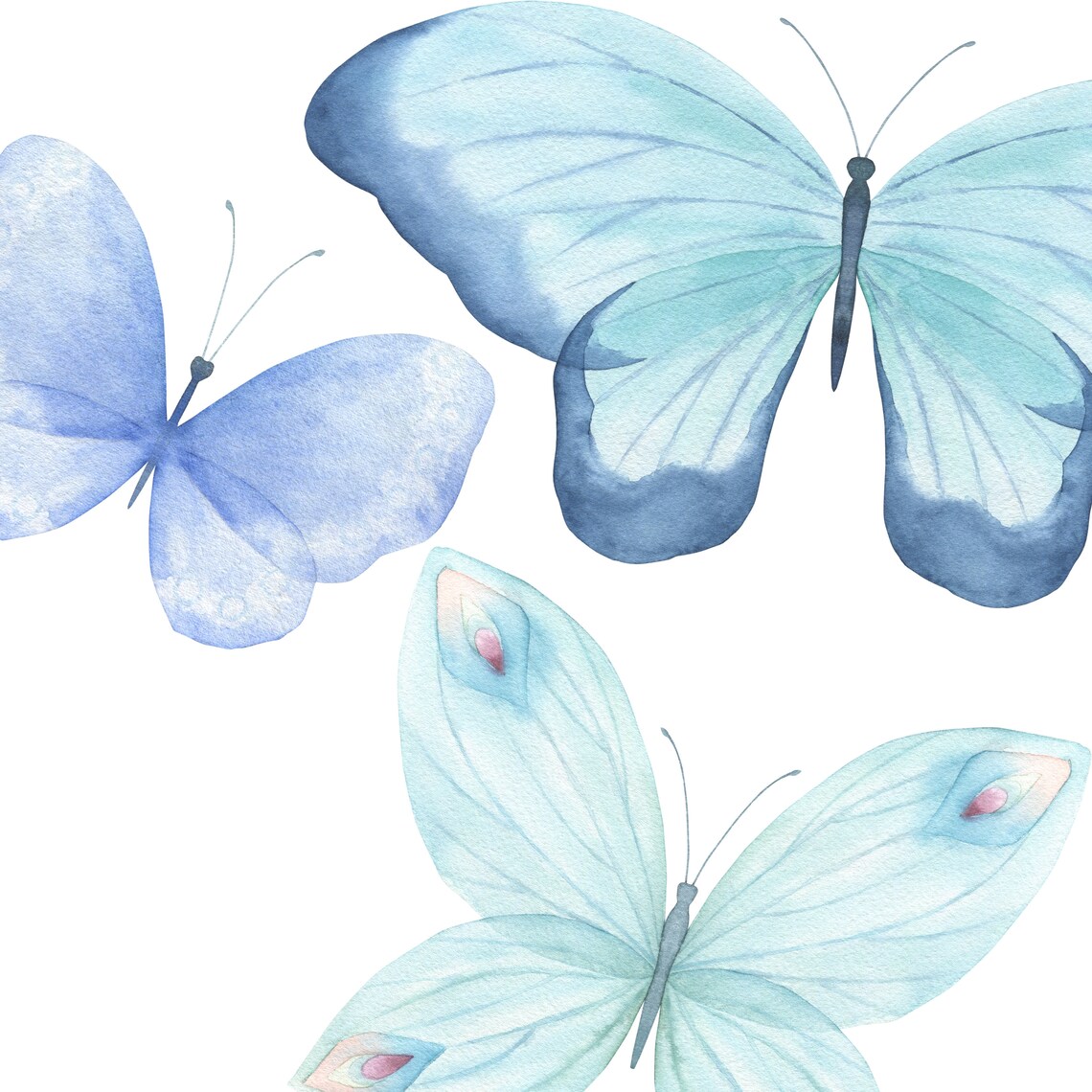 Butterfly Watercolor Clipart. Big Collection. Hand Painting - Etsy