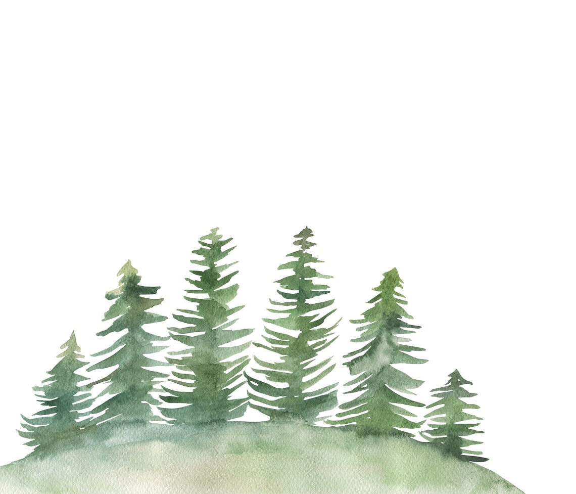 Watercolor Pine Trees Clipart Collection. Woodland Pine Trees - Etsy