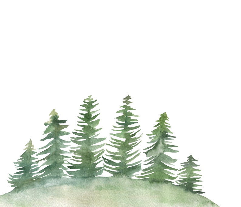 Watercolor Pine Trees Clipart Collection. Woodland Pine Trees ...