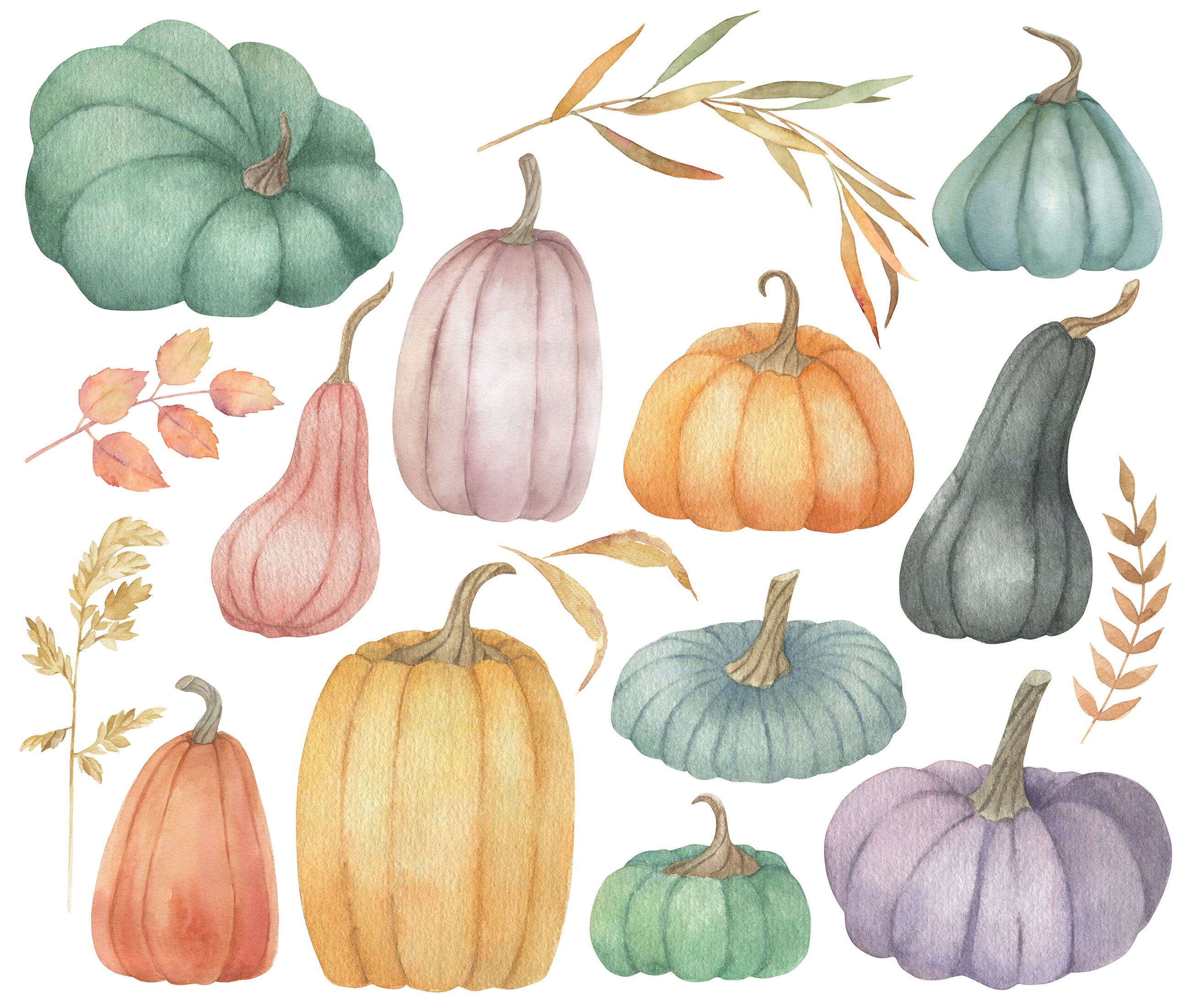 Watercolor Pumpkin Clipart Collection. Baby Shower, Thanksgiving Card ...
