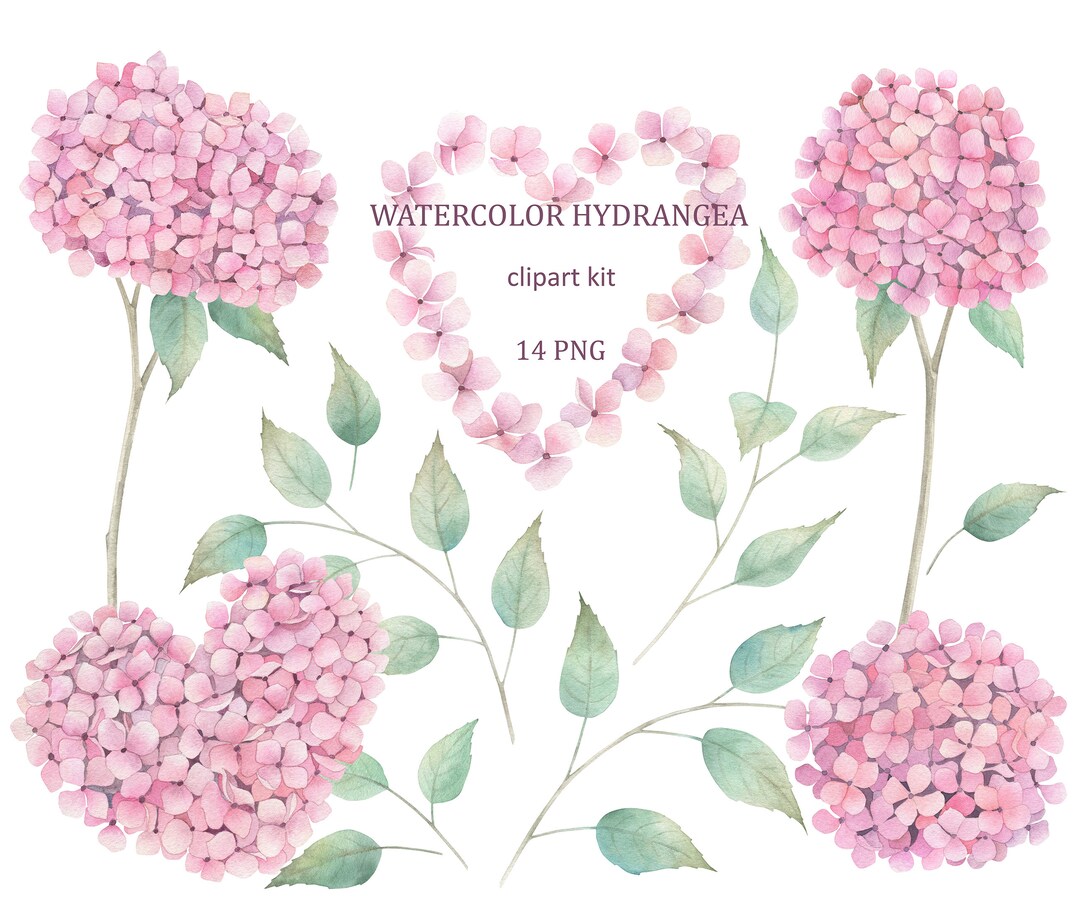 Hydrangea Clipart Kit. Watercolor Flowers Collection. - Etsy UK