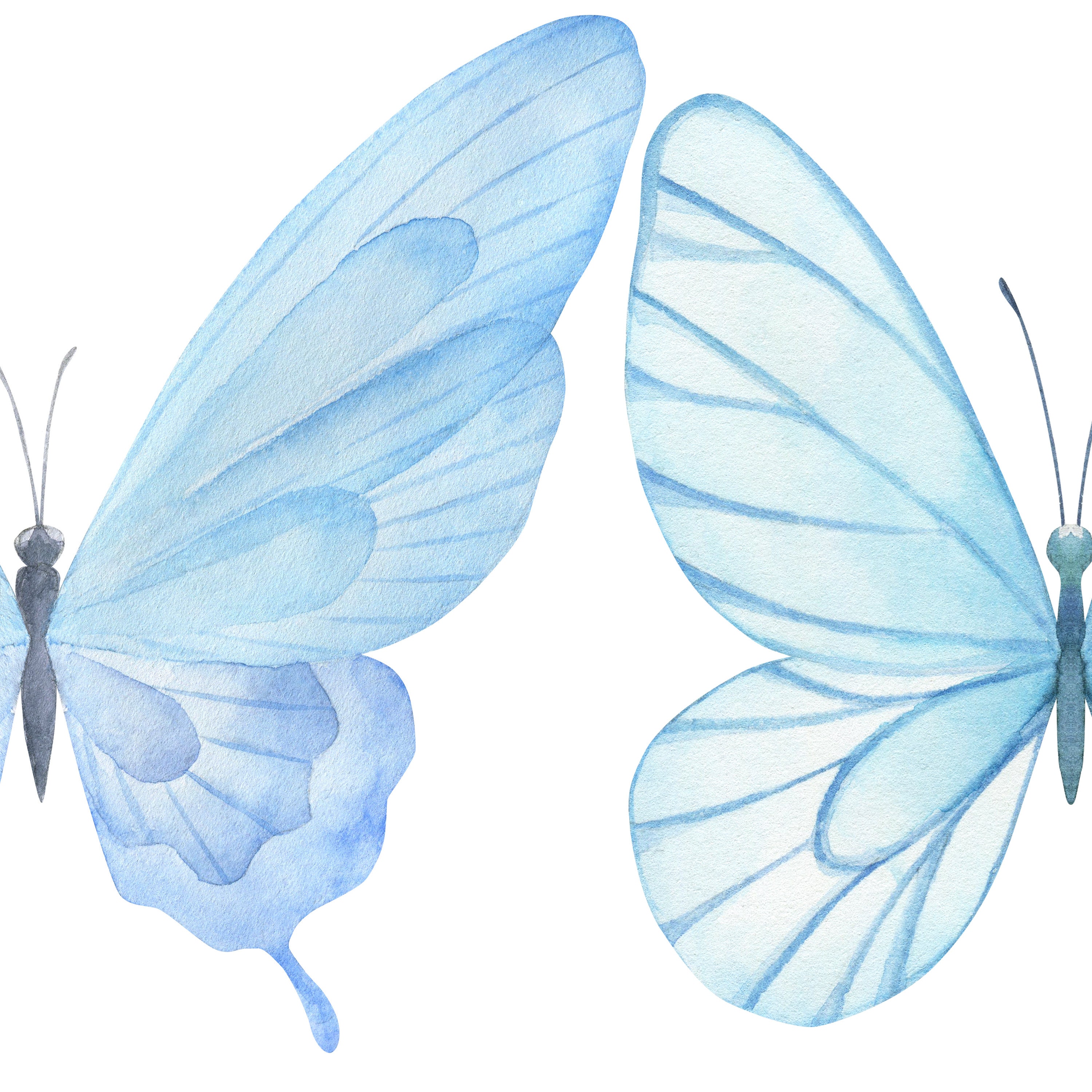 Butterfly Watercolor Clipart Collection. Hand Drawn Png Elements ...
