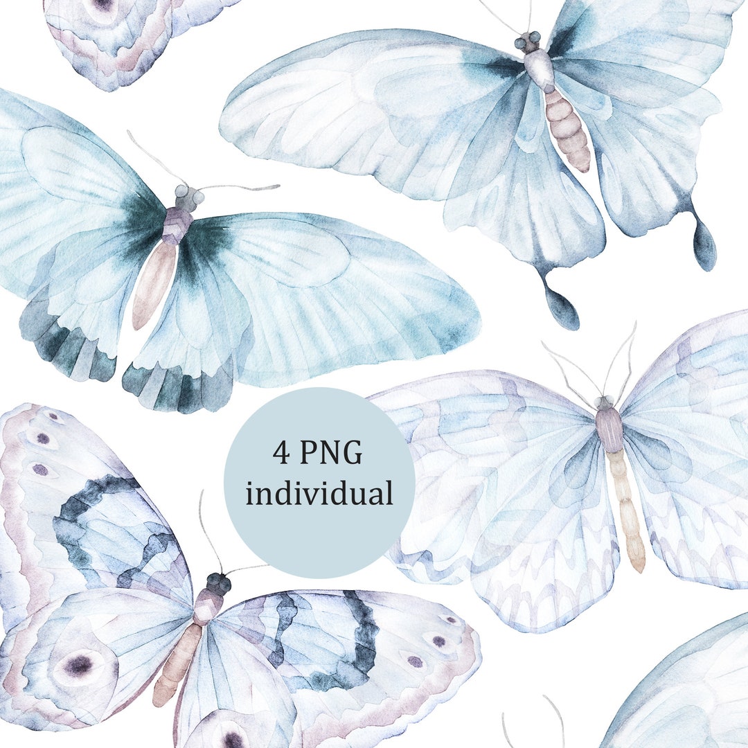 Butterfly Watercolor Clipart. Hand Painting Png Elements. Digital ...