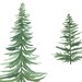 Watercolor Pine Trees Clipart Collection. Woodland Pine Trees ...